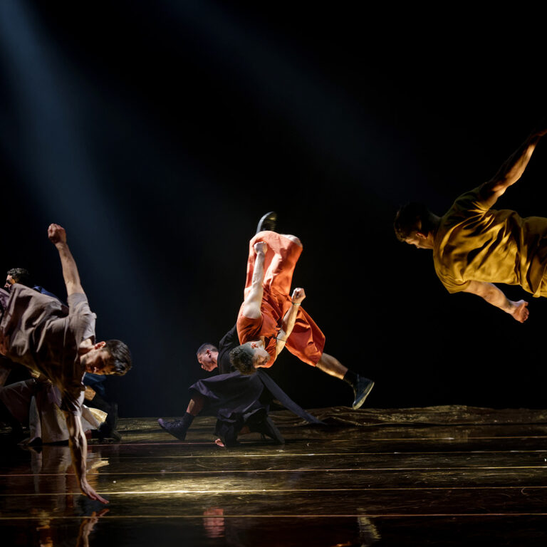 HERVÉ KOUBI DANCE COMPANY: Sol Invictus - TGVP